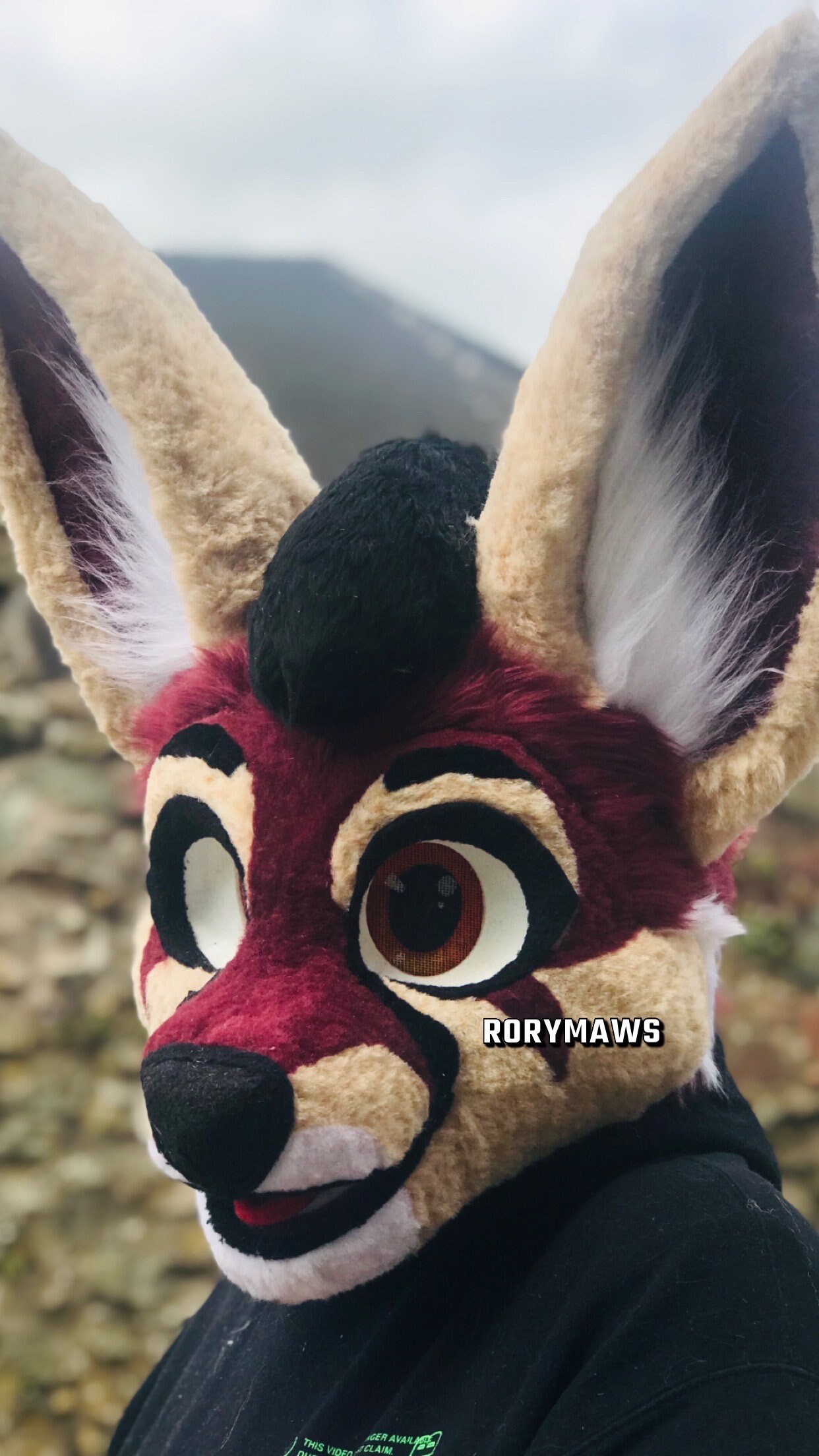 Fennec Fox Premade Fursuit Head - Etsy