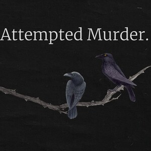 Attempted Murder Crow Shirt Funny Shirts Bird Shirts Black Shirt Women ...
