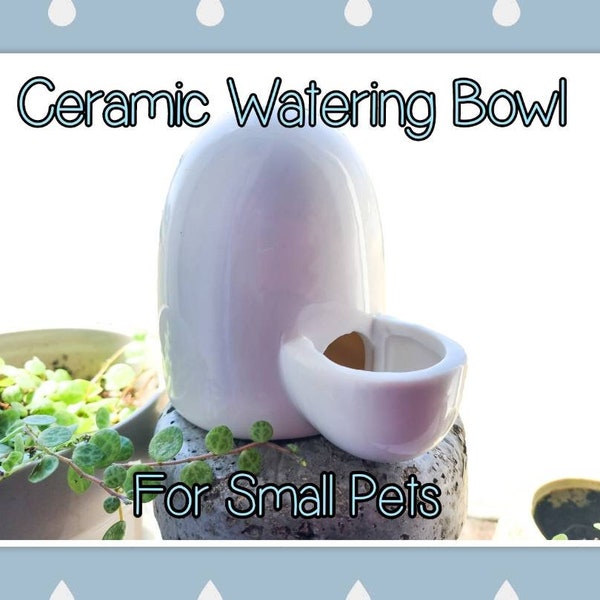 Ceramic Bird Bowl - Etsy