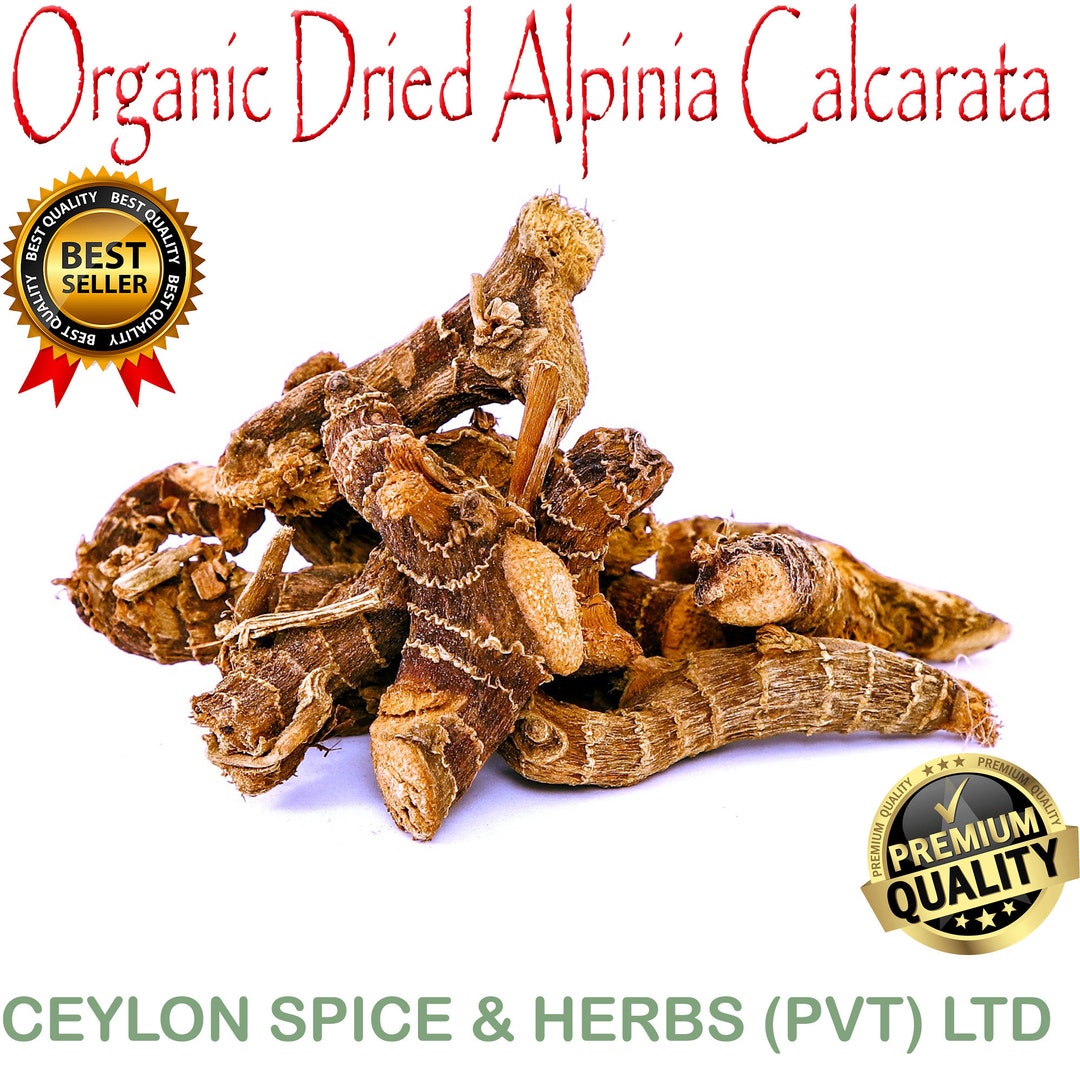 Galangal Root, Alpinia Calcarata, Herbal Tea, Snap Ginger, Alpinia ...