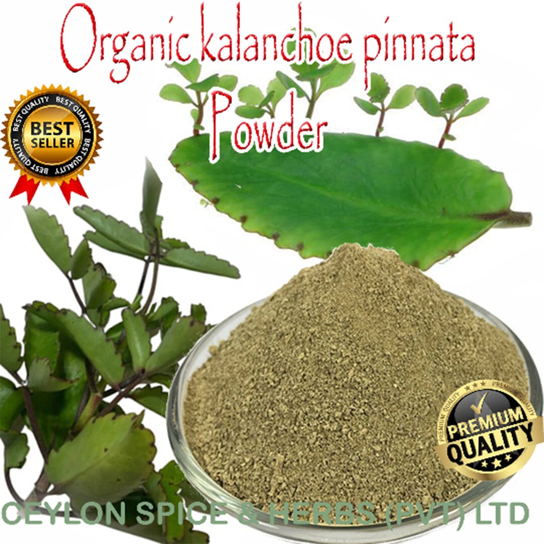 Leaf of Life Exact Powder ,jamaican Fresh Life of Leaf ,RARE, Miracle ...