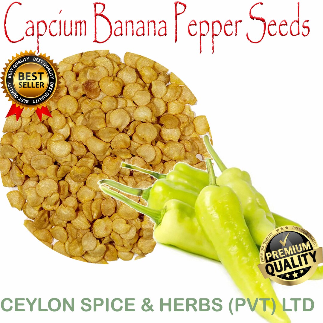 Graines de poivre Capcium, 500 graines, graines de jardin, taux de ...