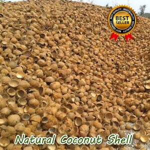 Coconut Shell Half ,natural With Fiber, Without Fiber Varnished, for Handicrafts ,tropical ...