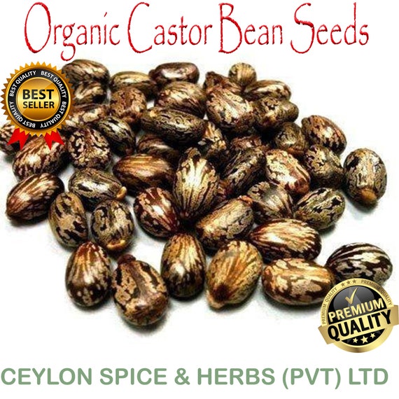 Castor Bean Varieties