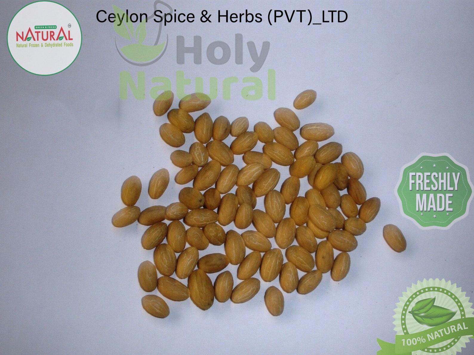 Olive Tree Seeds High Quality 50 bulk seeds Sprout Rate | Etsy