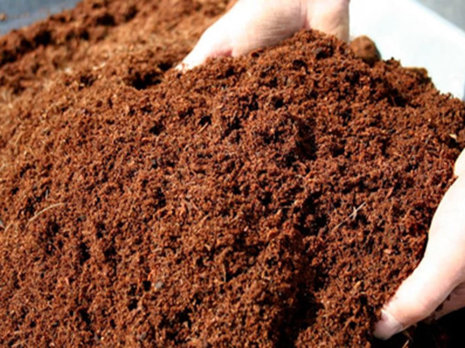Coco Peat Coconut Husk Coco Peat Fiber Coco Peat for | Etsy