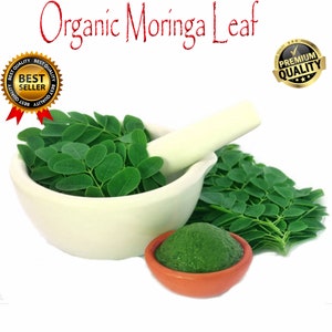 Moringa Leaf ,2KG BULK Pure Organic Moringa Leaf ,freshly Picked to ...