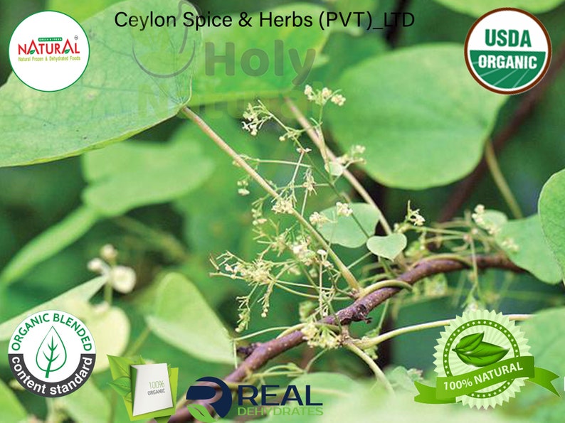 1LB Coscinium Fenestratum Dried Calumba Wood Stem Herbal | Etsy