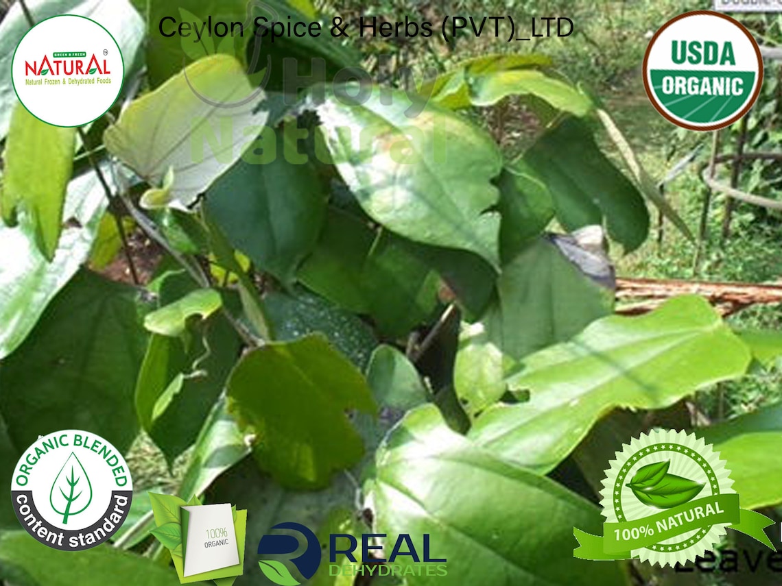 1LB Coscinium Fenestratum Dried Calumba Wood Stem Herbal | Etsy