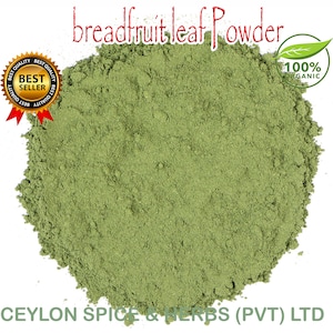 Breadfruit Leaf Powder breadfruit Leaves Artocarpus Altilis - Etsy
