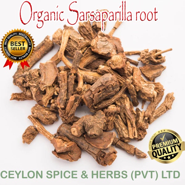 Sarsaparilla Plant - Etsy