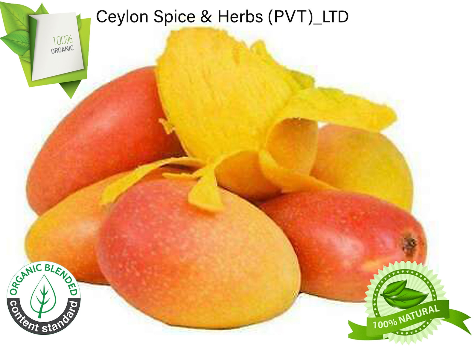 Alphonso Mango Seeds 24 Seeds per Pack Rare King of | Etsy