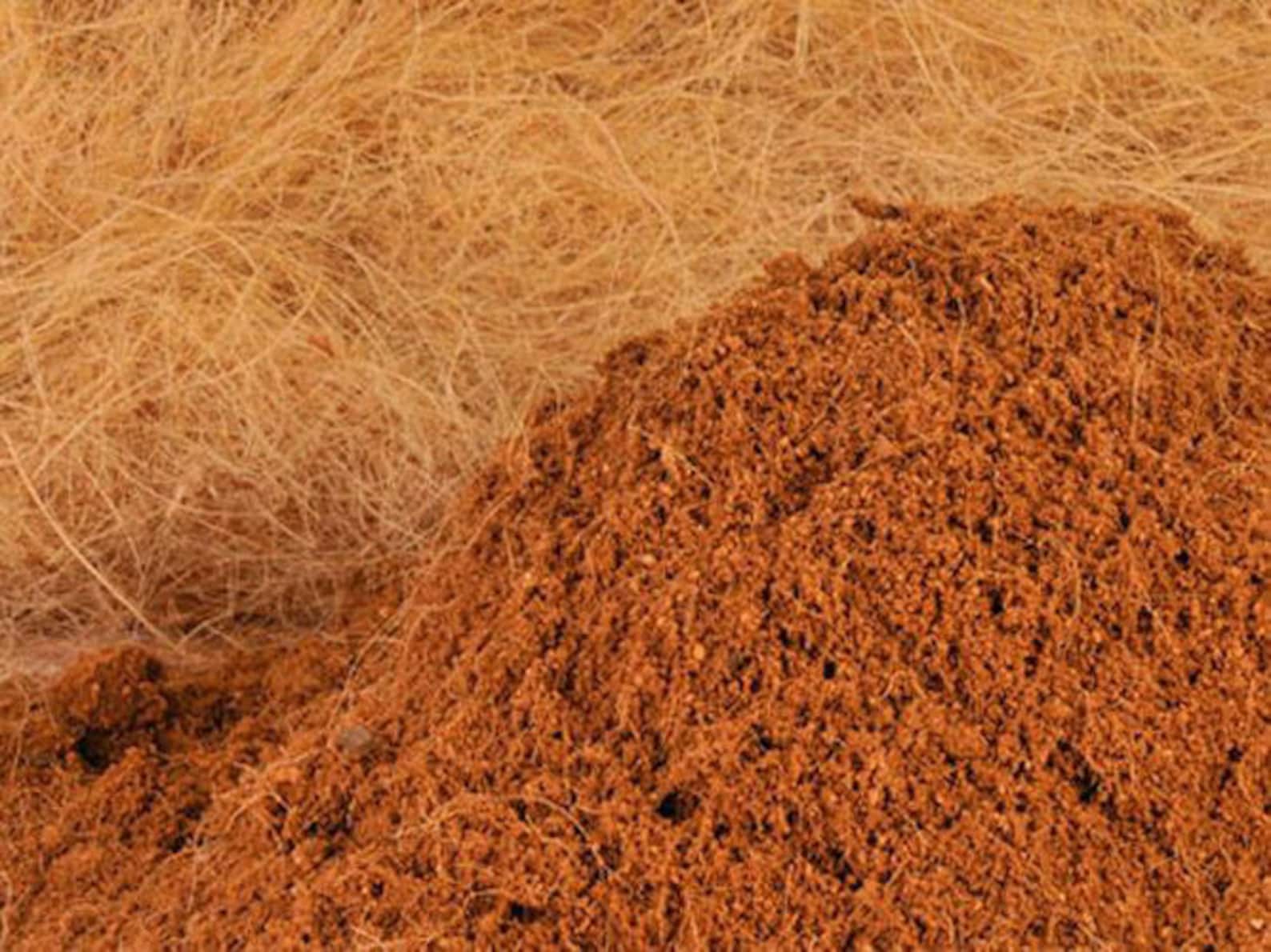 Coco Peat Coconut Husk Coco Peat Fiber Coco Peat for | Etsy