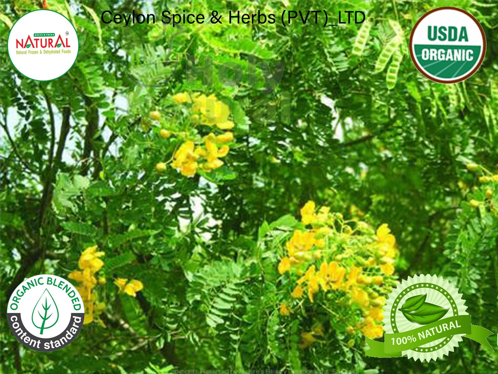 Senna Leaf Pure Organic Senna Leaf Extract Powder - Etsy