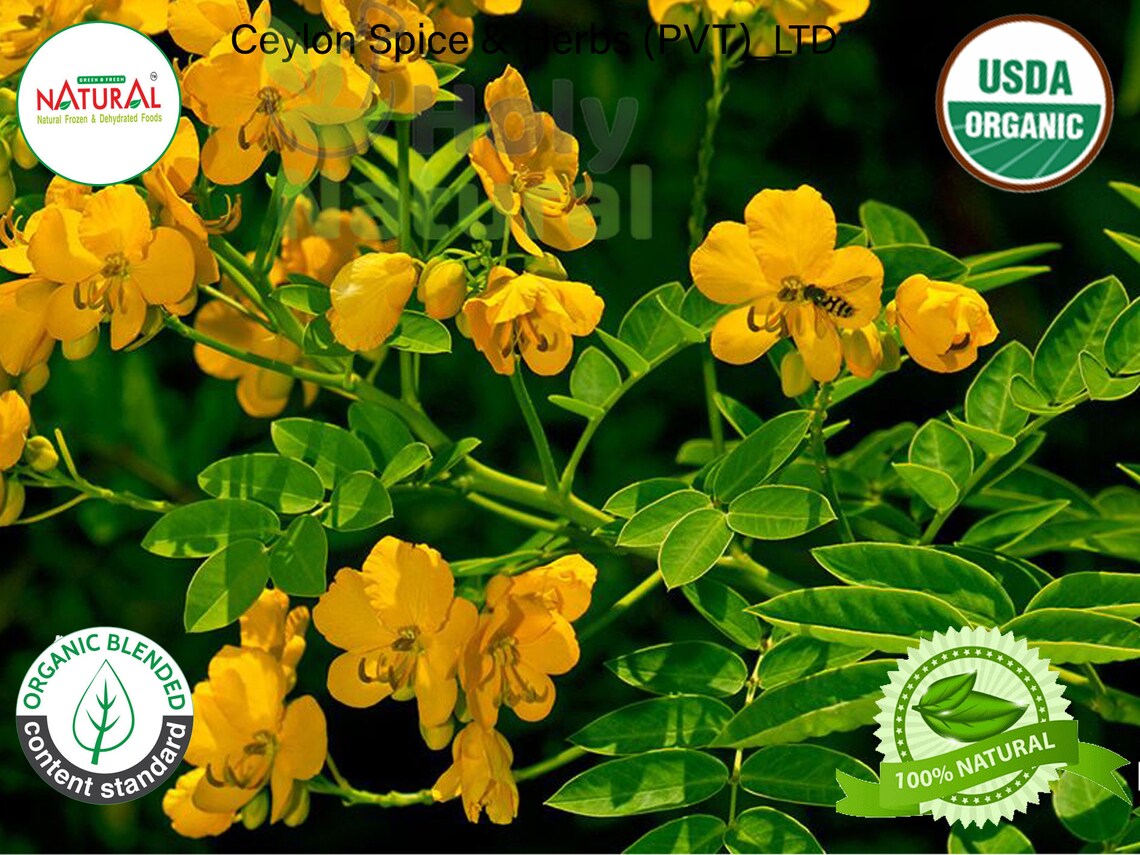 Senna Leaf Pure Organic Senna Leaf Extract Powder - Etsy