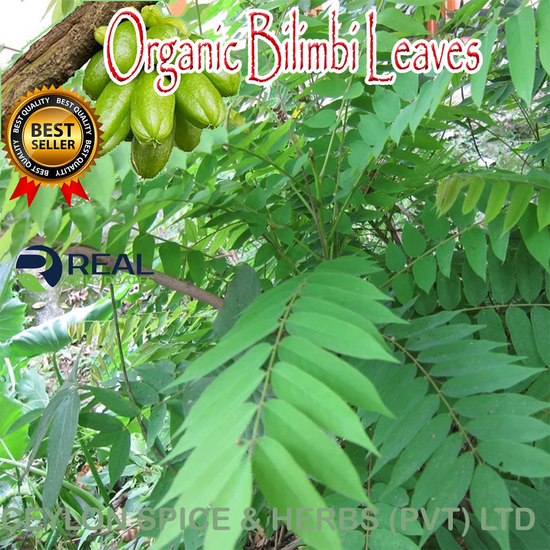 Hoja de Bilimbi, 1 KG A GRANEL Hojas de Bilimbi orgánicas, Averrhoa ...