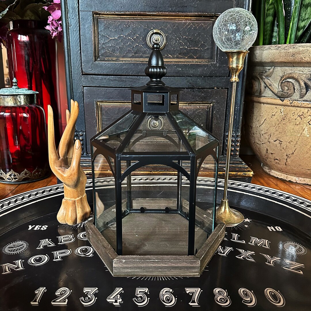 Glass Terrarium Display, Gothic Display, Oddities Display, Hexagon ...