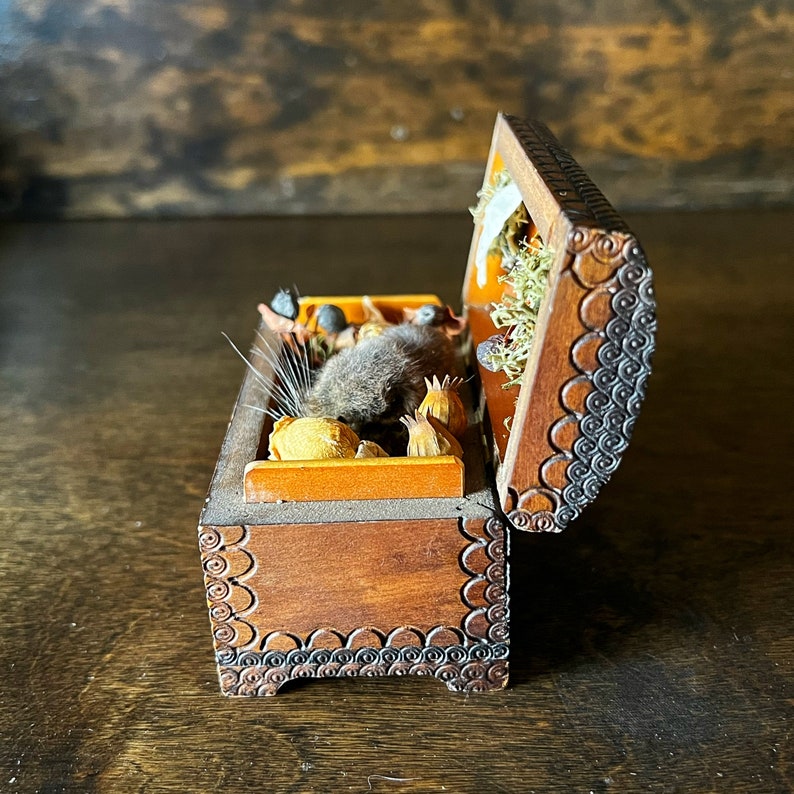 Mummified Mouse Art Memento Mori Taxidermy Art Oddities - Etsy