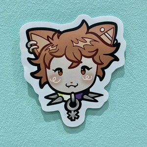Catboy, Catgirl, Trans Cat + Nonbinary Cat Glossy Vinyl Stickers - Etsy