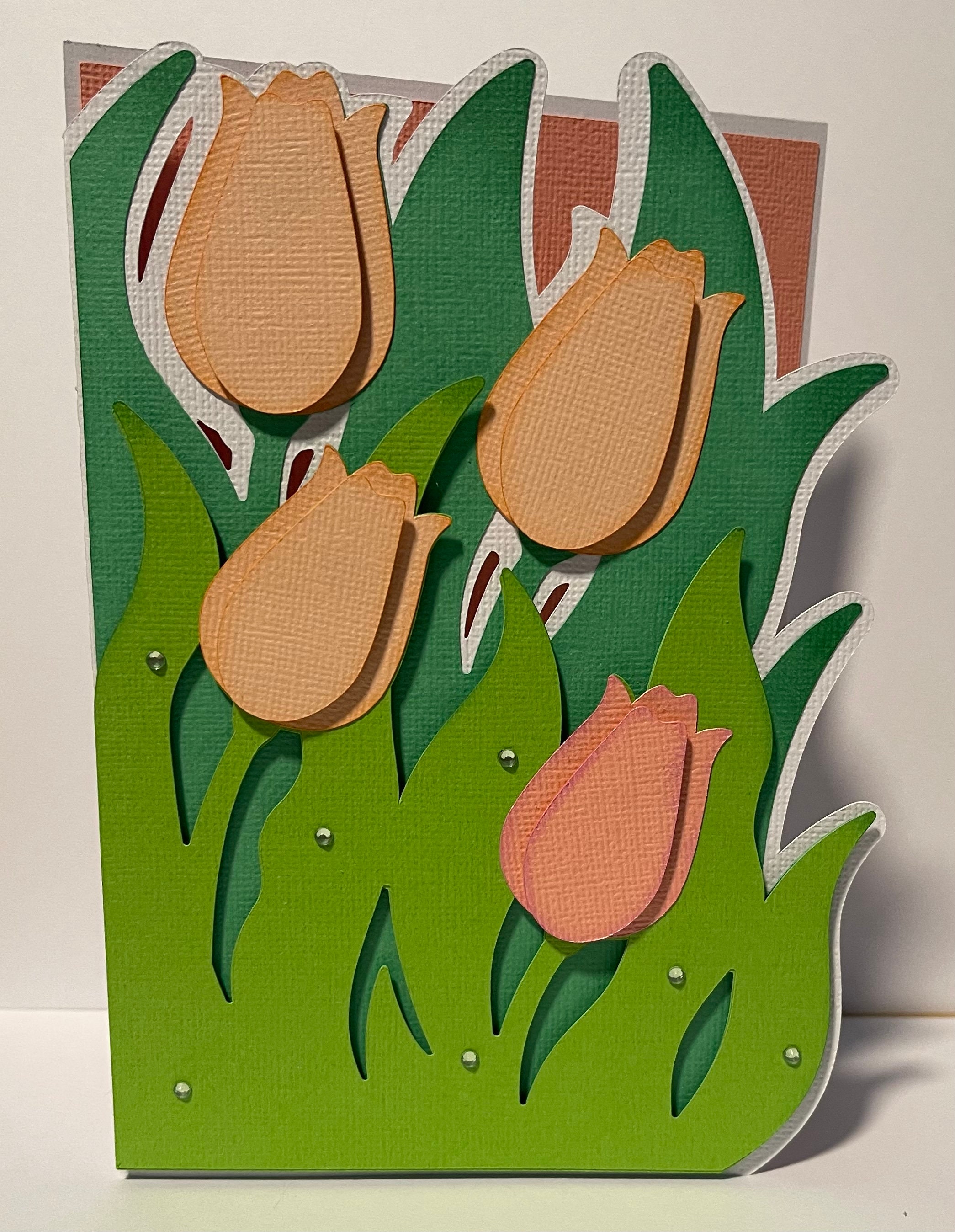 Pretty Spring Tulip Card! - Etsy