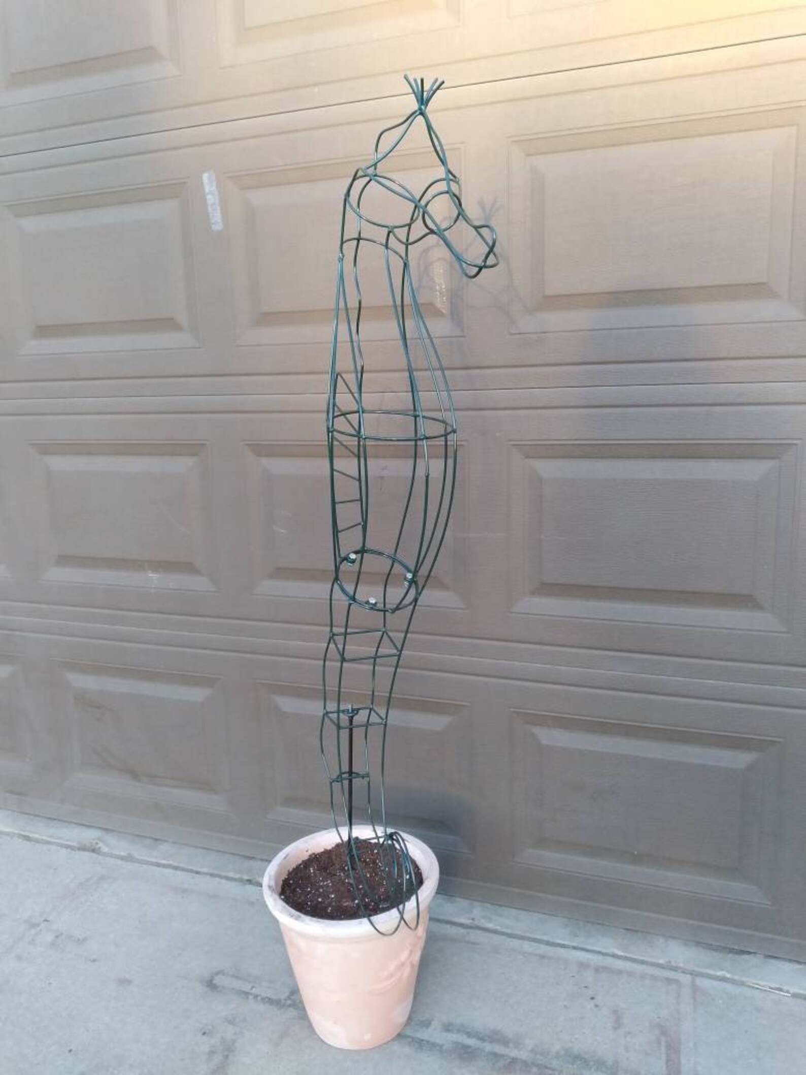 Seahorse Topiary Frame, Seahorse Yard Art, Topiary Seahorse, Custom ...