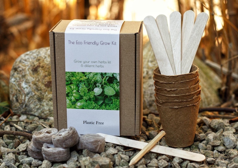 The Eco Friendly Grow Kit - Etsy