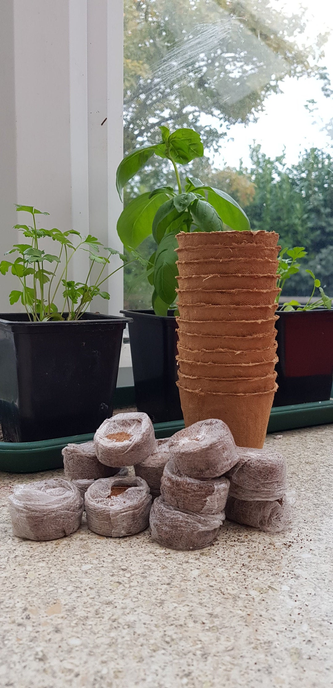 The Eco Friendly Add On - Etsy