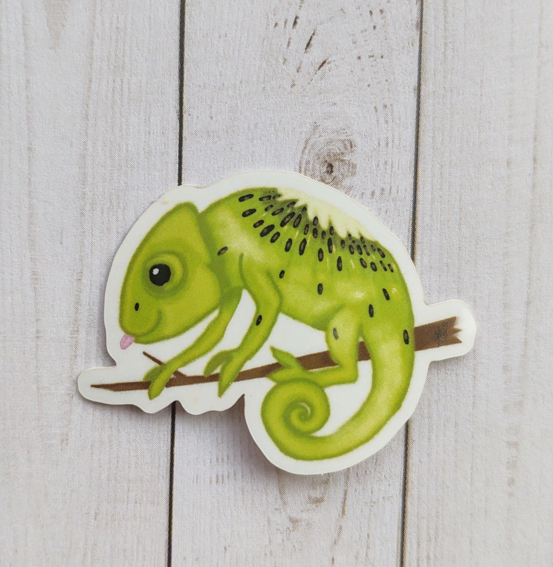 Kiwi Chameleon Sticker, Small Vinyl Sticker - Etsy