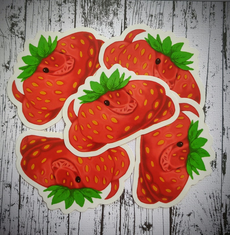 Strawberry Snake Sticker Vinyl Sticker | Etsy