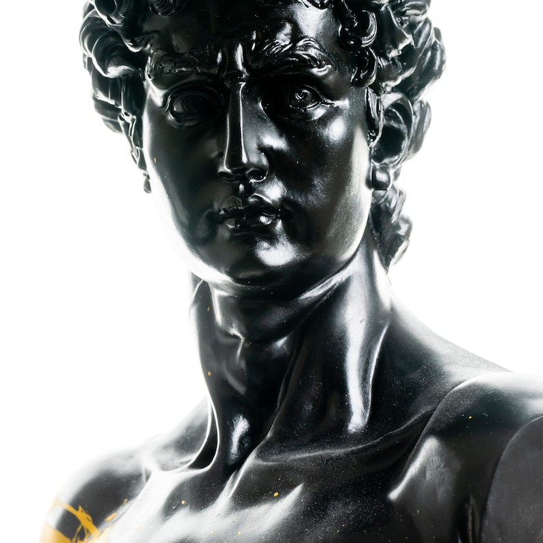 David Sculpture Statue David Bust Statue Bust Black | Etsy