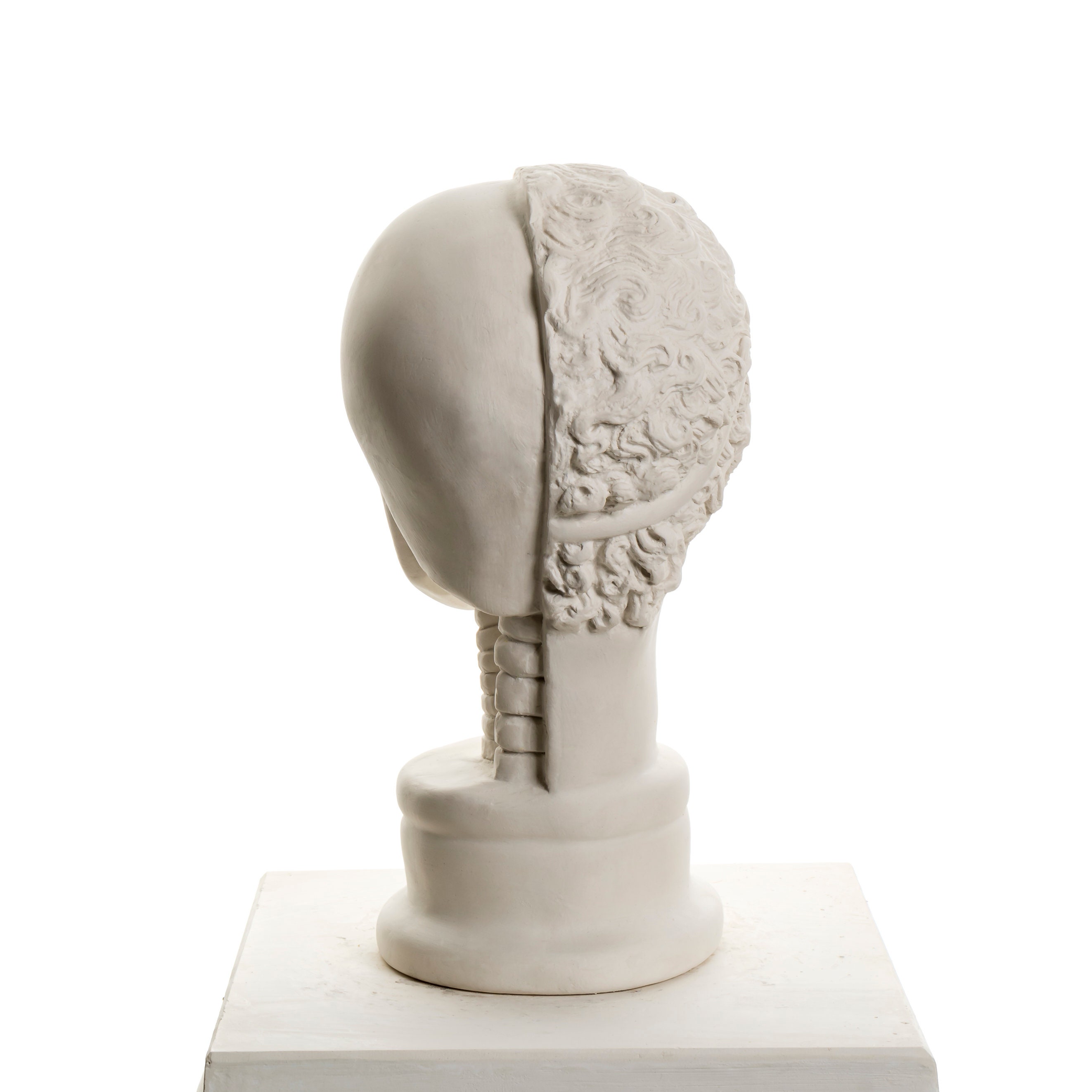 Hermes Hermes Bust Skull Skull Bust Ancient Greek - Etsy