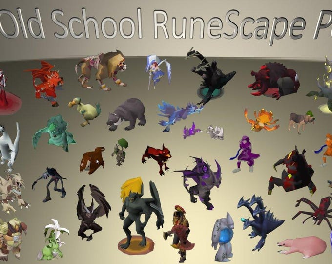 Runescape/osrs 3d Printed Pet Figurine. Hand Painted - Etsy