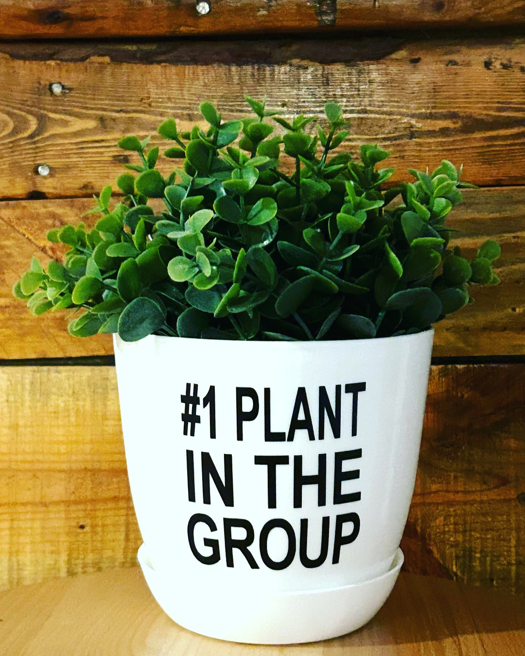 NUMBER 1 Plant Pot!!! - Etsy