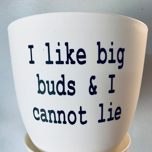 I Like Big Buds Pot - Etsy