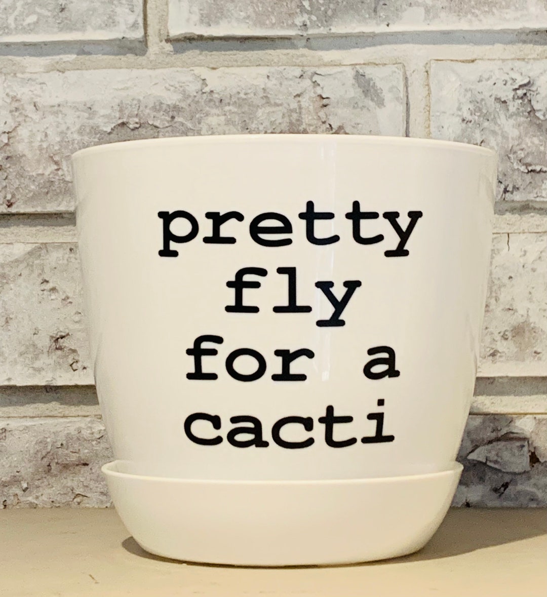So Fly Cacti Pot!! - Etsy