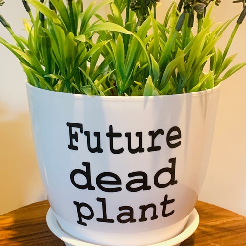 Anxiety Plant Pot - Etsy