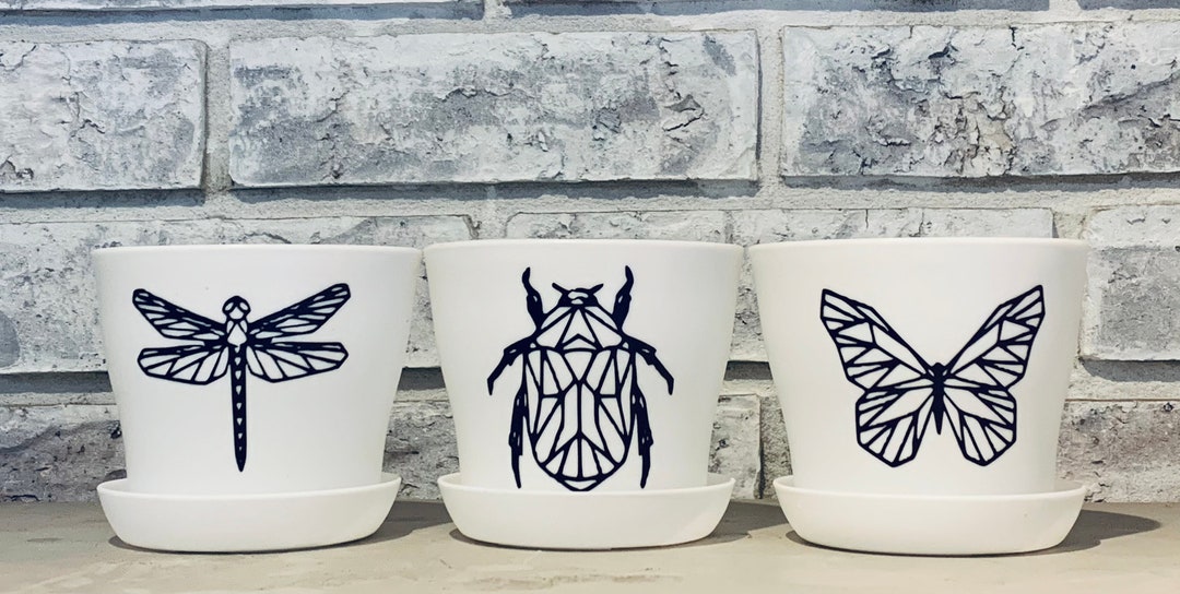 Geo Insect Pots - Etsy