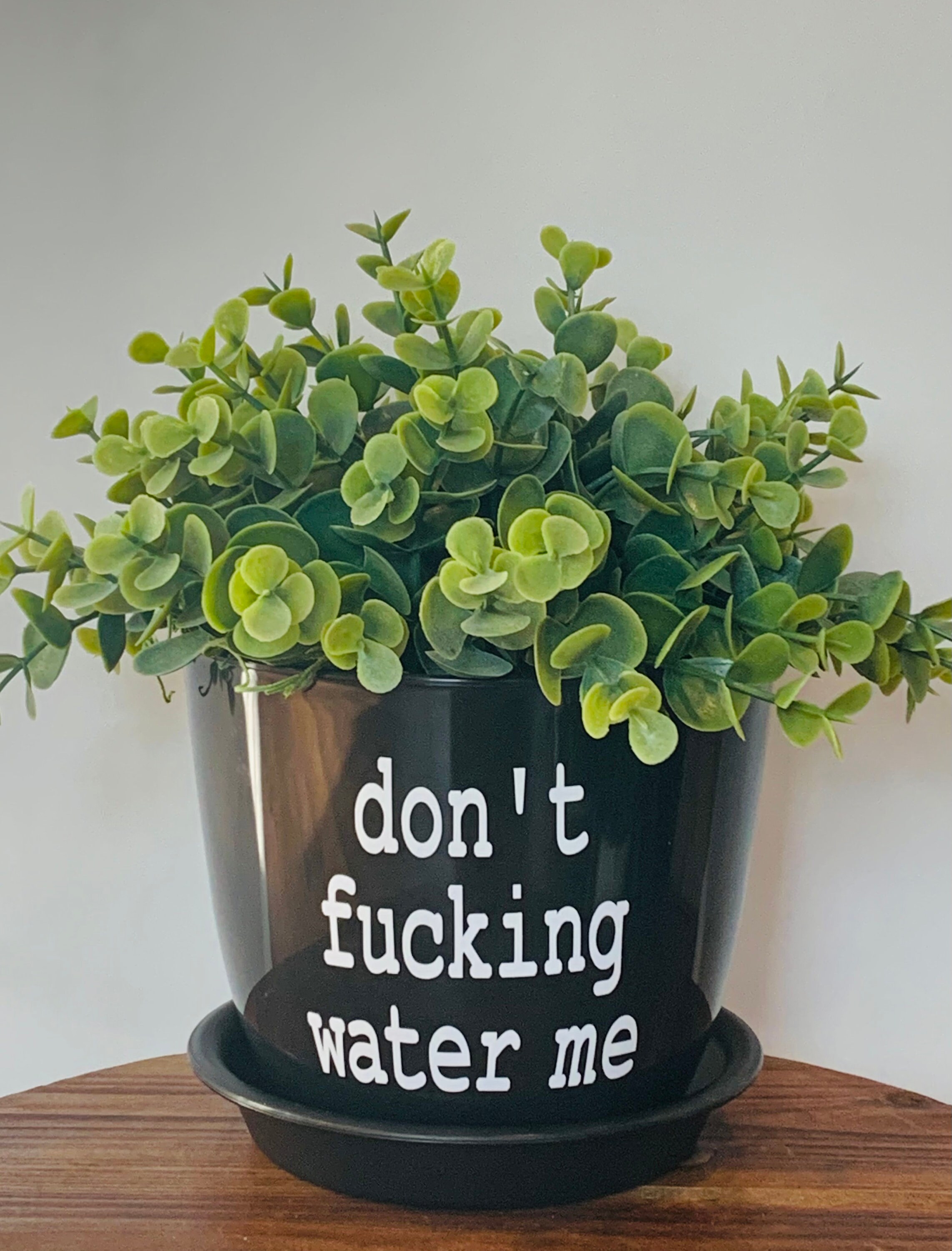 Dont Water Me Pot - Etsy