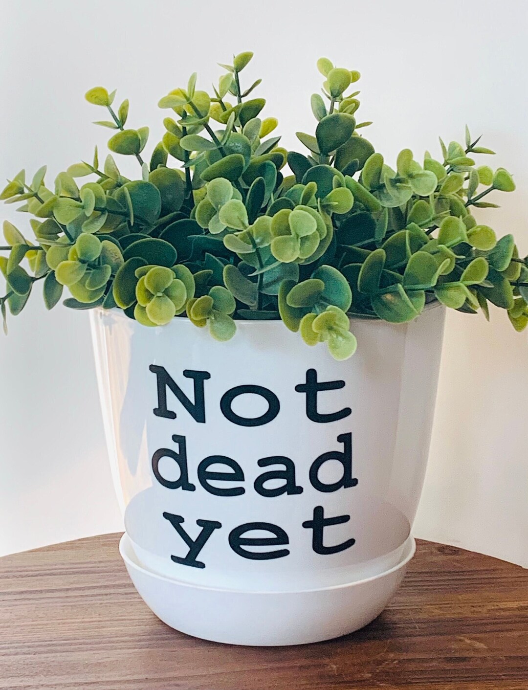Not Dead yet Plant Pot - Etsy