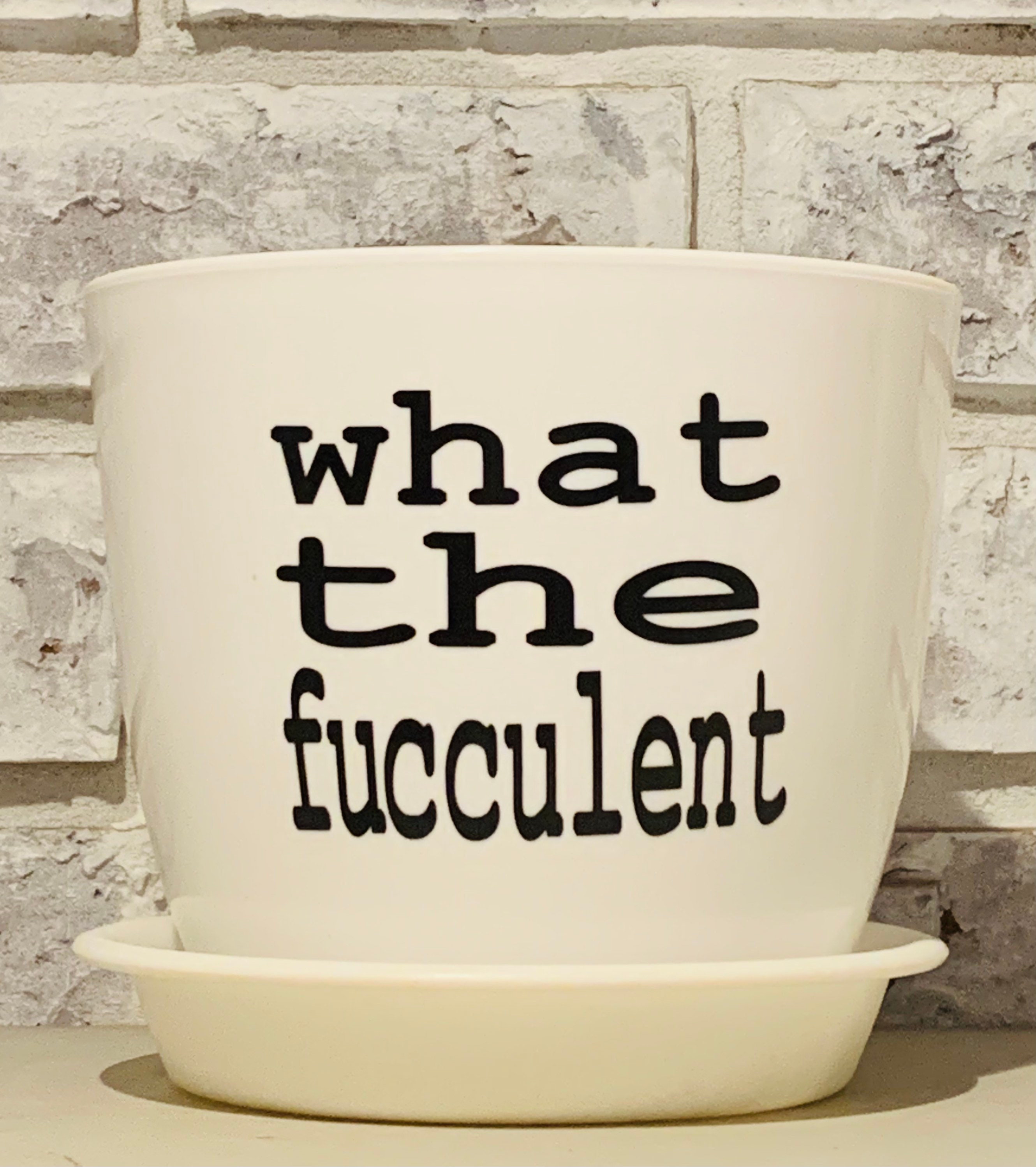 What the Fucculent Pot - Etsy