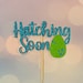 Hatching Soon Glitter Cake Topper Baby Shower Baby Cake Topper Dinosaur ...