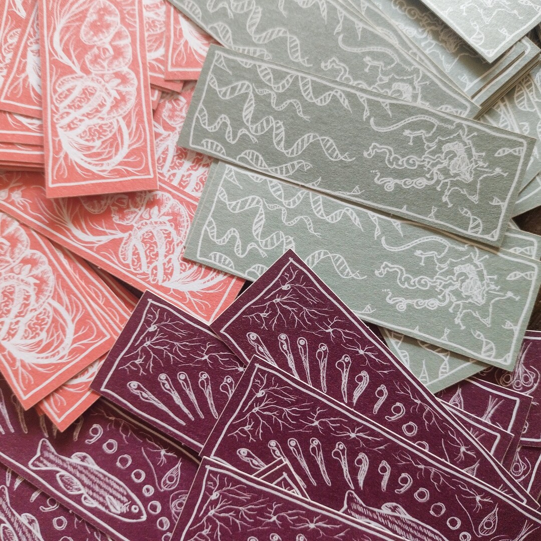 Biology Sticker Set (3) - Etsy