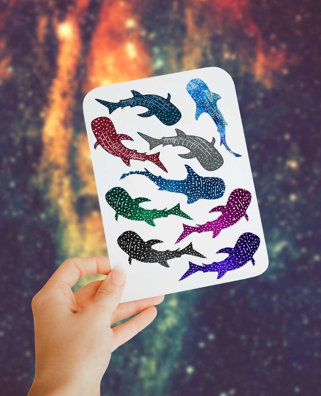 Whale Shark Sticker Sheet - Etsy
