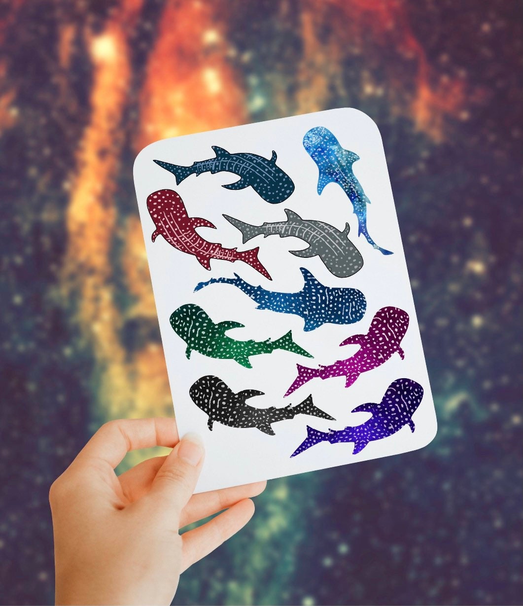 Whale Shark Sticker - Etsy