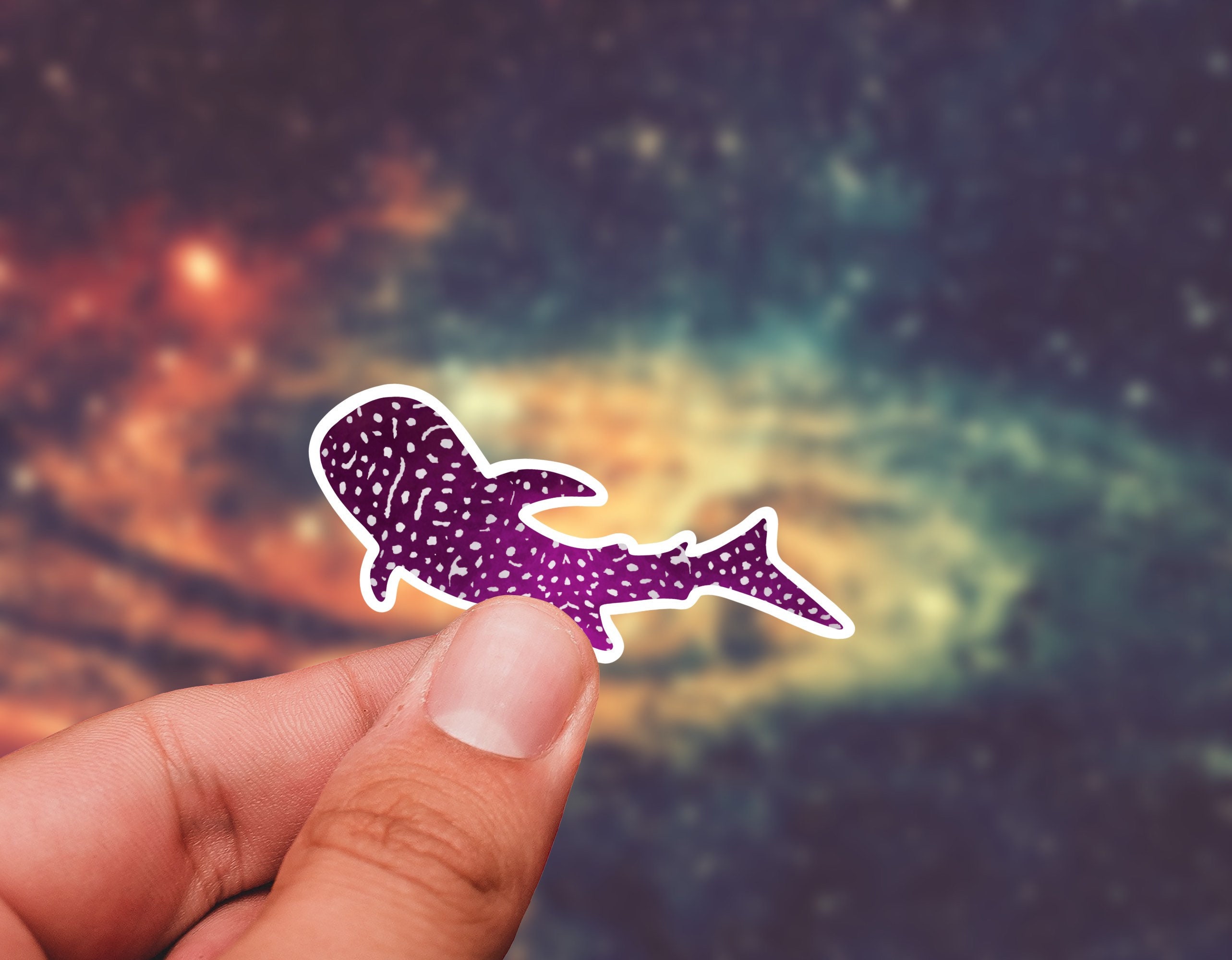 Whale Shark Sticker - Etsy