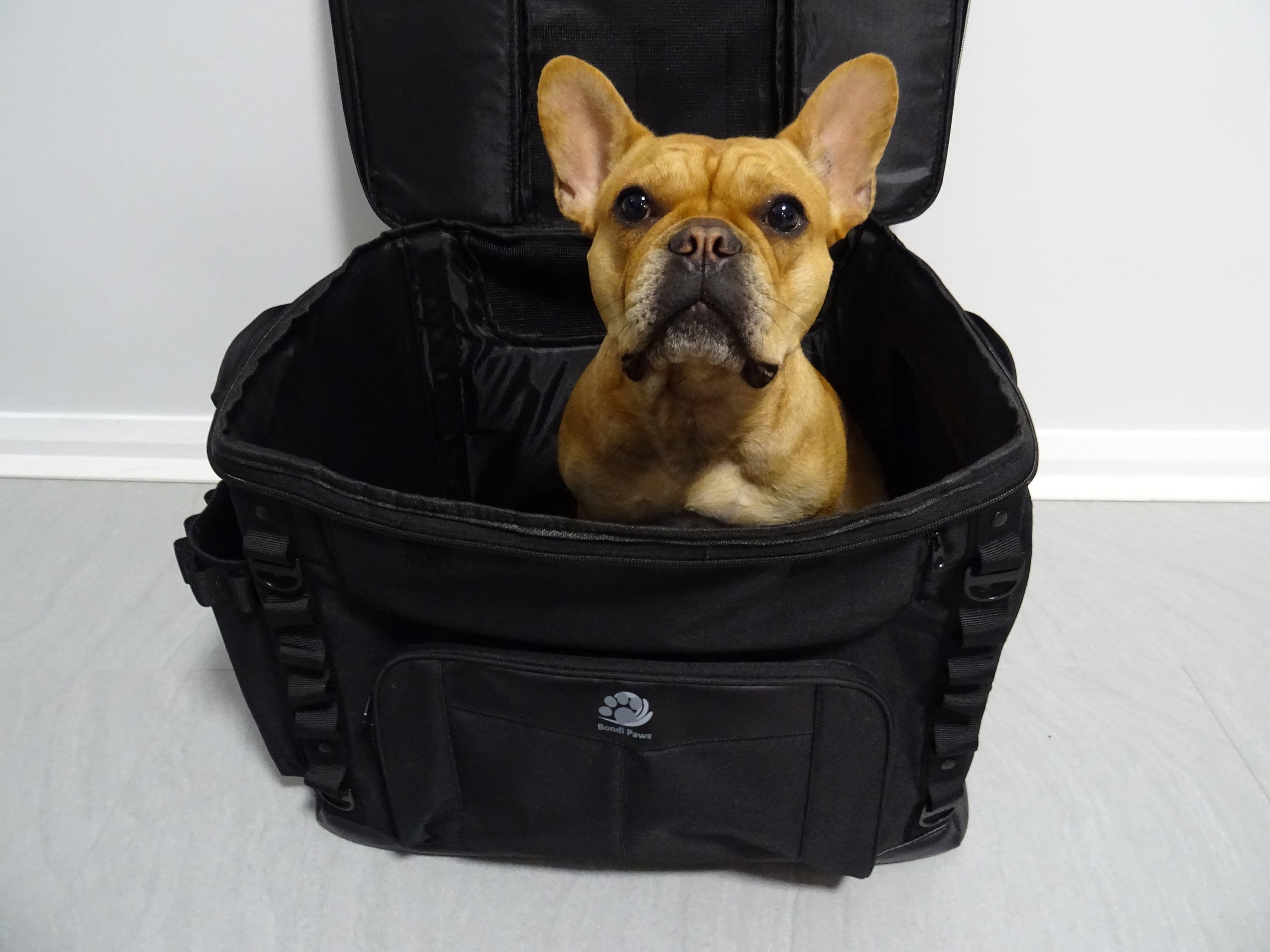 Pet Motorcycle Bag | Dog Motorbike Carrier | Cat Dog Motorcycle Travel ...