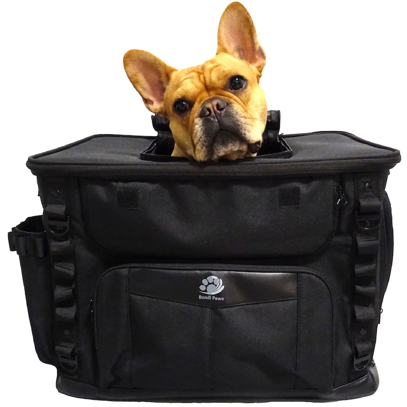 Pet Motorcycle Bag | Dog Motorbike Carrier | Cat Dog Motorcycle Travel ...