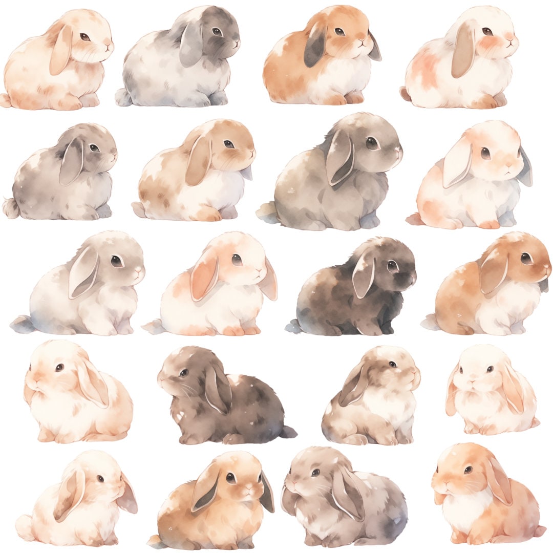 Watercolour Holland Lop Bunnies Clip Art Set Digital Download, Pngs ...