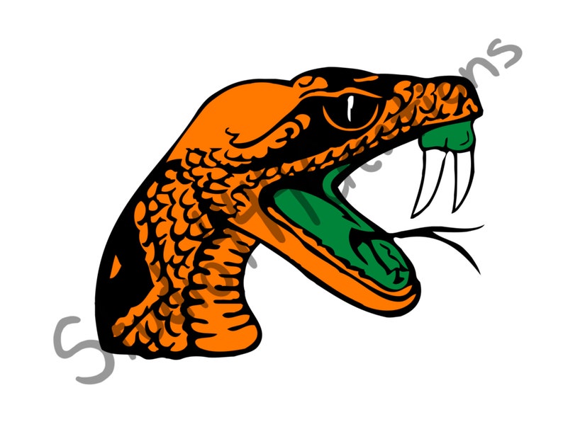 FAMU Logo Svg and PNG - Etsy