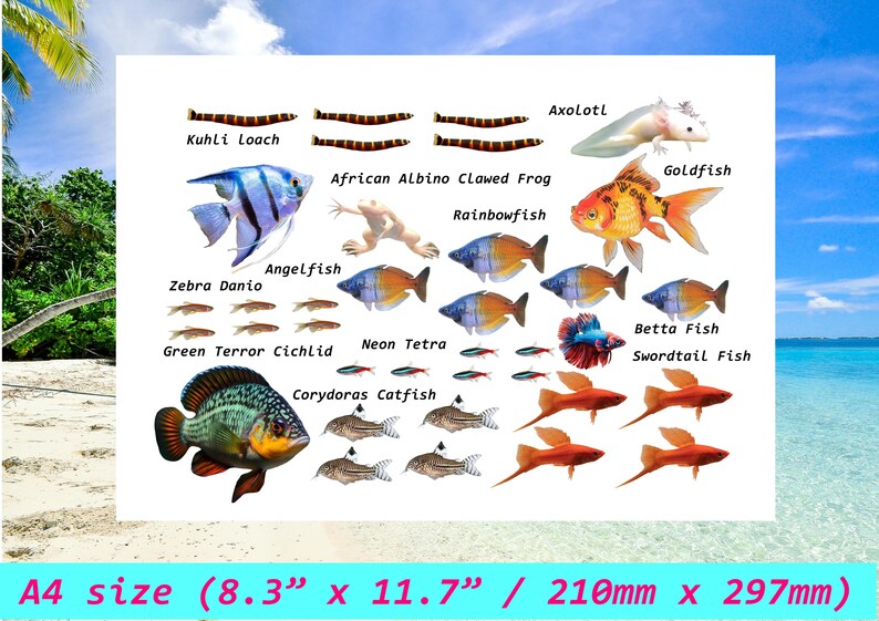 Build A Fish Tank Printable Craft, Build an Aquarium, Pretend Play, DIY ...